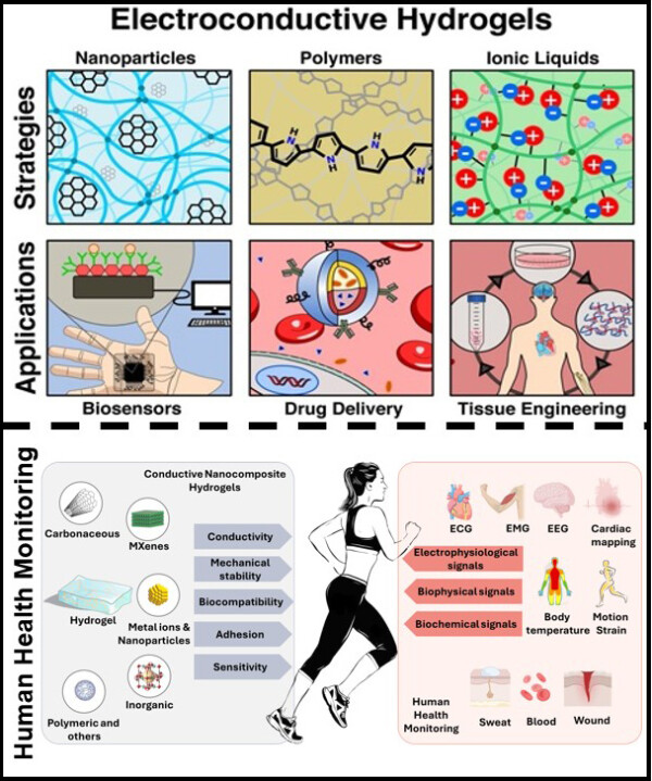 Conductive Hydrogels – Annabi Lab